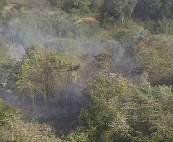SLAF Fights Forest Fire In Havaeliya (Nuwara Eliya) Using Bell 212 ...